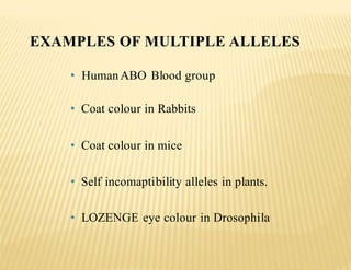 Gene interactions and multiple alleles.pptx