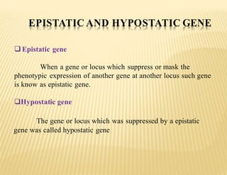 Gene interactions and multiple alleles.pptx