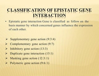 Gene interactions and multiple alleles.pptx