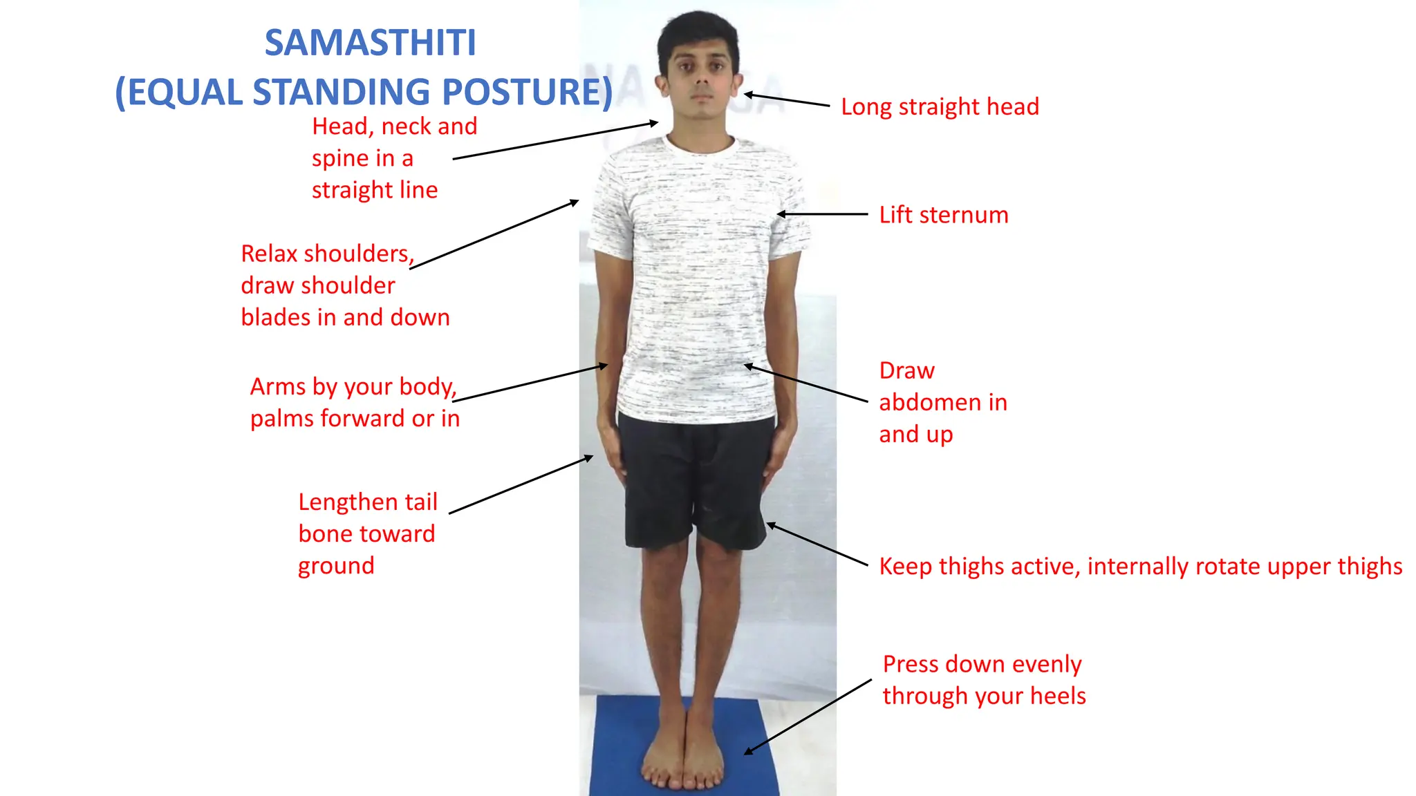surya namaskara vivekananda school of yoga- therapeutic sun ...