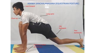 surya namaskara vivekananda school of yoga- therapeutic sun ...