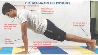 surya namaskara vivekananda school of yoga- therapeutic sun ...