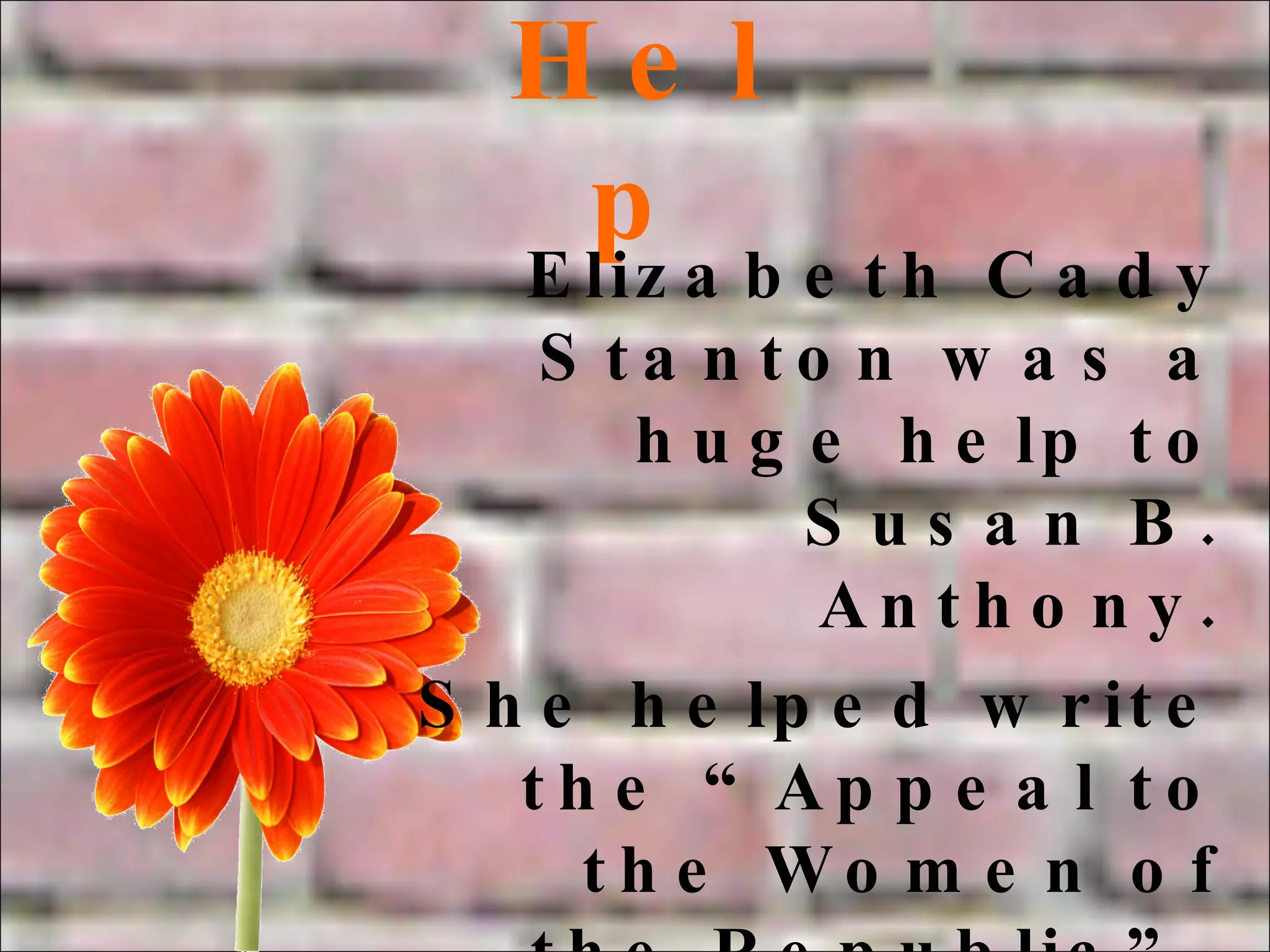 Susan B. Anthony Power Point | PPT