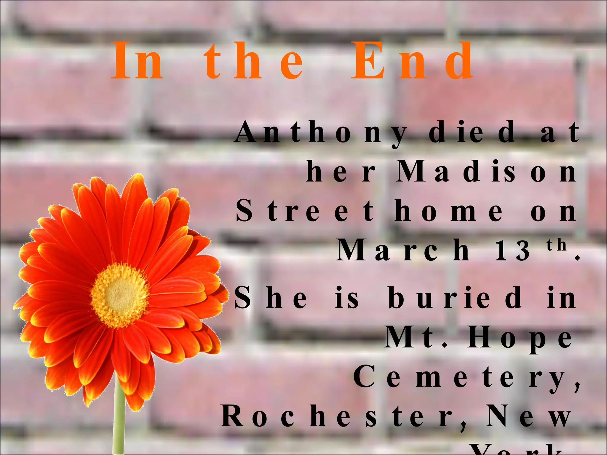 Susan B. Anthony Power Point | PPT