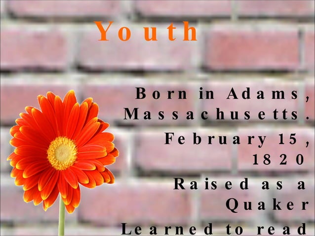 Susan B. Anthony Power Point | PPT