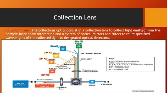 Hematopoetic Stem Cell Enumeration By Flowcytometry Ppt