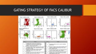 Hematopoetic Stem Cell enumeration by Flowcytometry | PPT