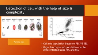 Hematopoetic Stem Cell enumeration by Flowcytometry | PPT