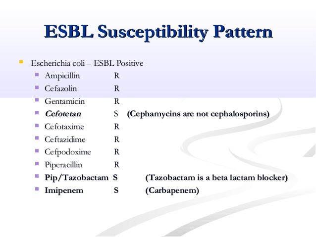 Susceptibility Testing Review