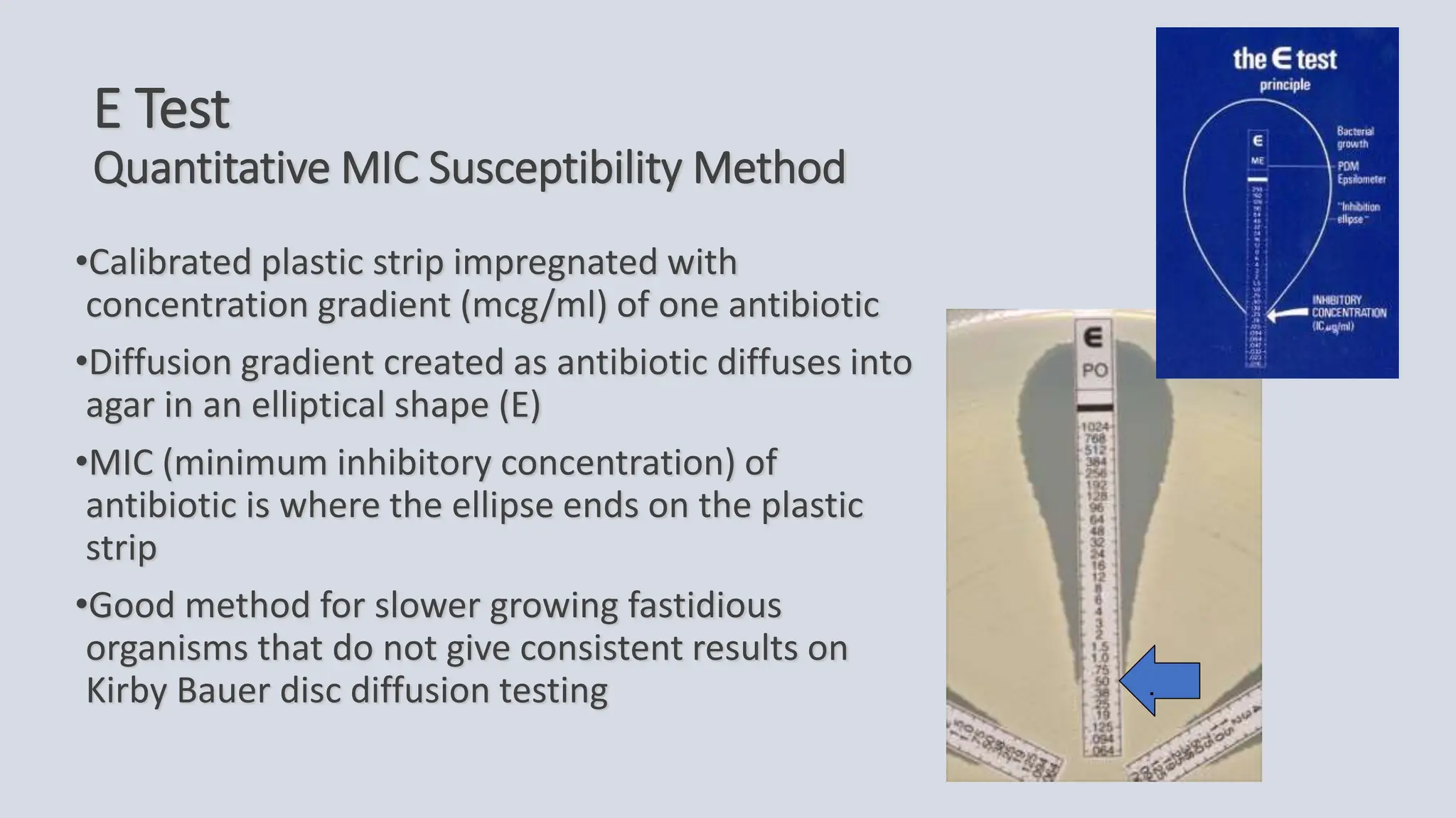 Susceptibility Update 2024 | Microbes with Morgan | PPT