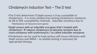 Susceptibility Update 2024 | Microbes with Morgan | PPT