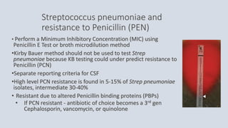 Susceptibility Update 2024 | Microbes with Morgan | PPT