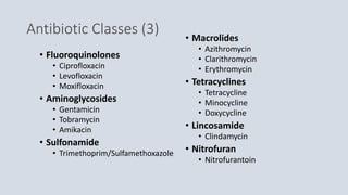 Susceptibility Update 2024 | Microbes with Morgan | PPT