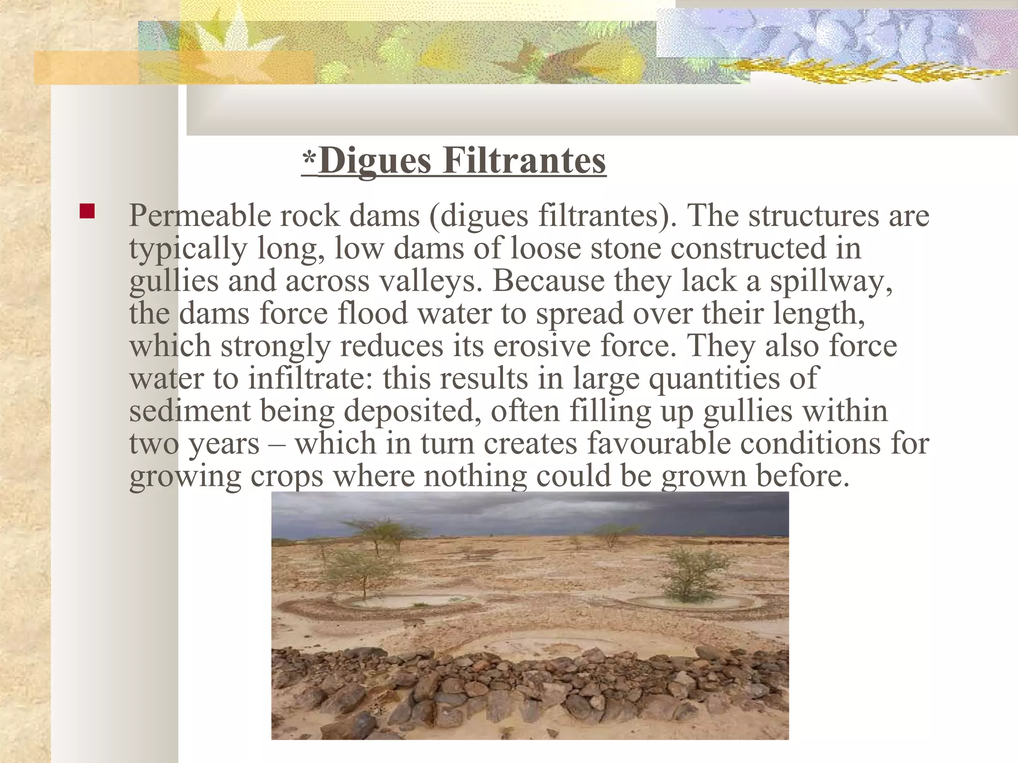 DESERTIFICATION | PPT