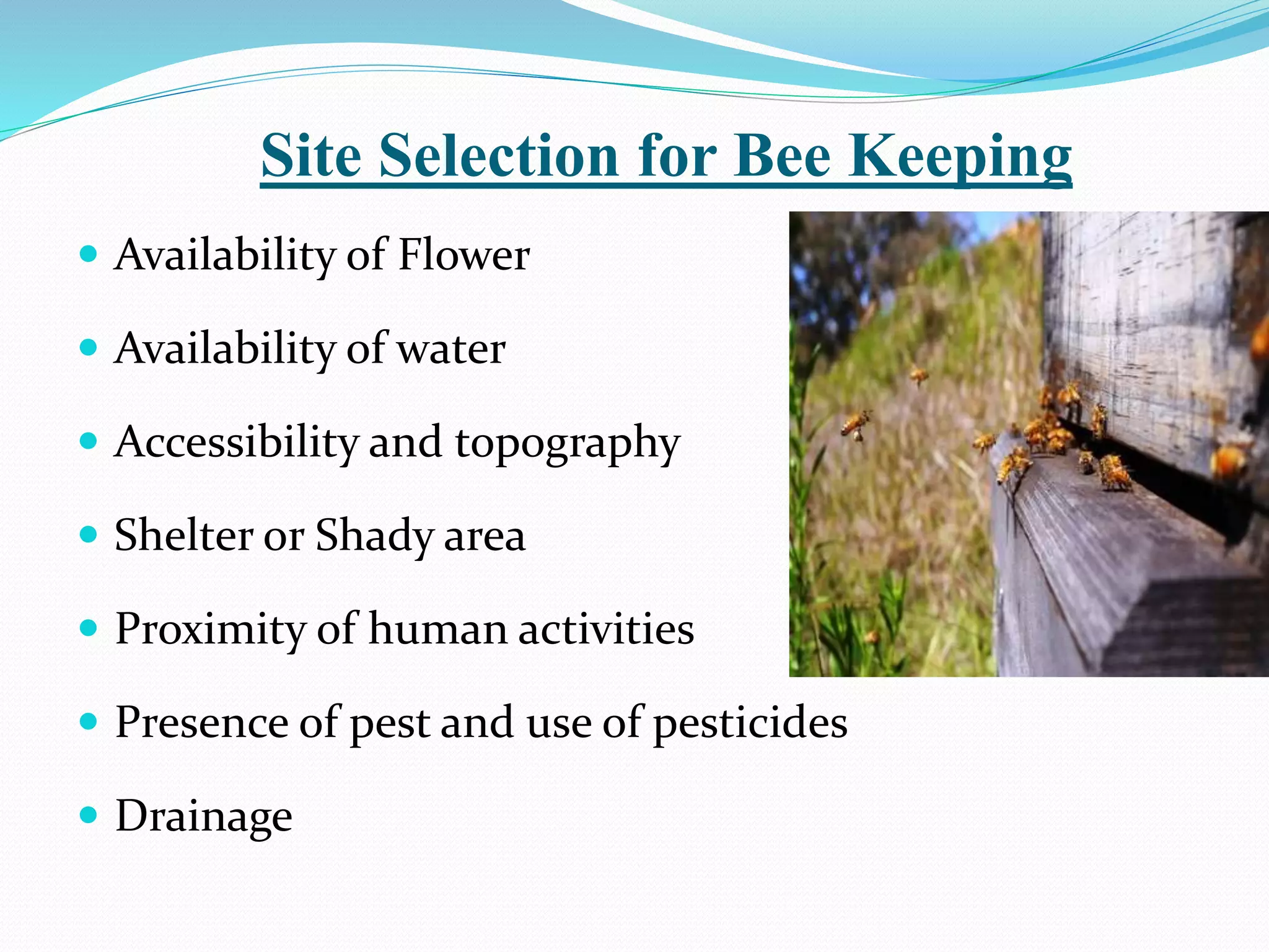 Apiculture | PPTX