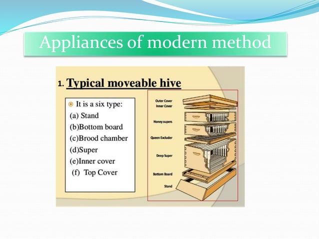 Apiculture | PPTX