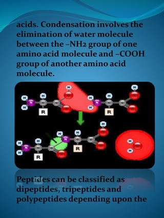 Proteins and its classification in details by @sushant juneja | PPTX ...