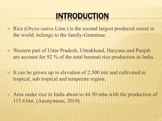 efficacy of insecticides and biopesticides against Rice BPH | PPTX