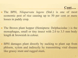 efficacy of insecticides and biopesticides against Rice BPH | PPTX