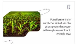 Canopy development and its importance .pptx