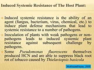 Eco friendly MANAGEMENT OF PLANT DISEASES | PPTX
