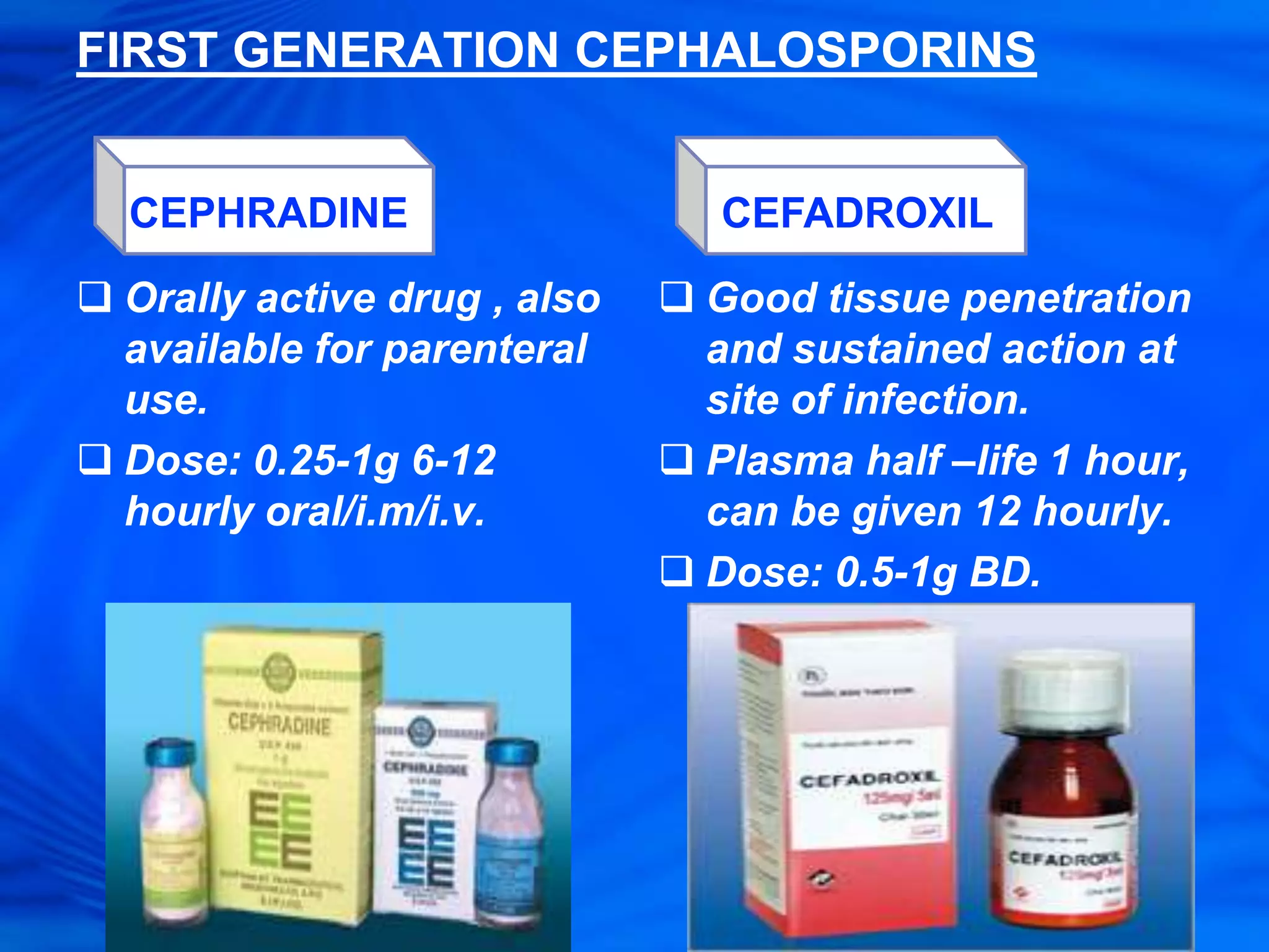 CEPHALOSPORINS | PPTX