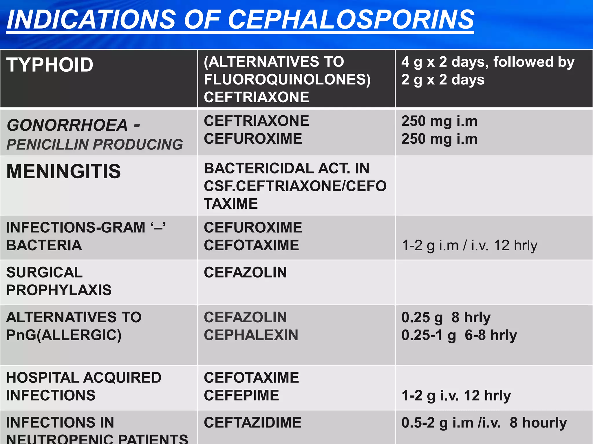 CEPHALOSPORINS | PPTX