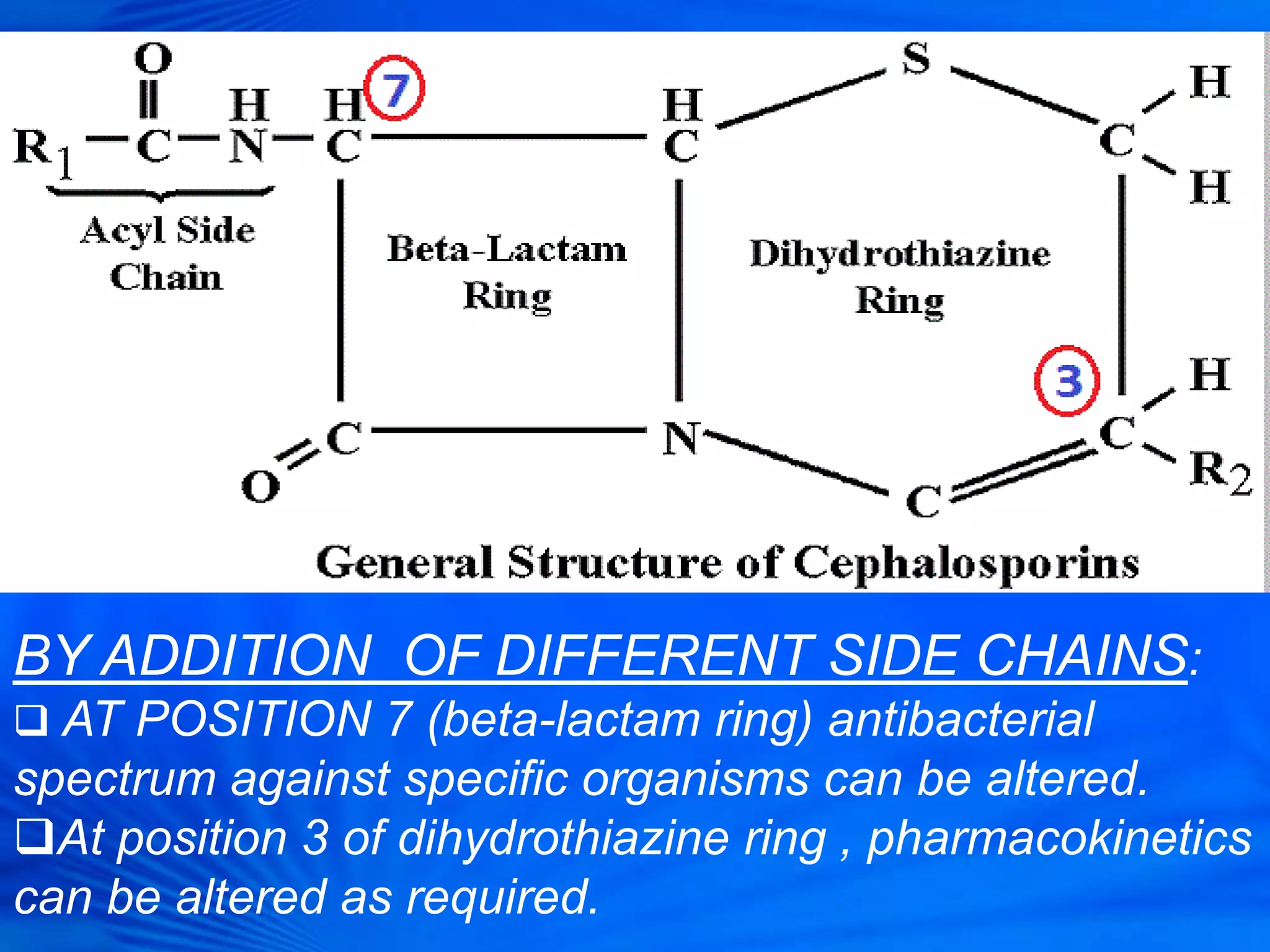 CEPHALOSPORINS | PPTX