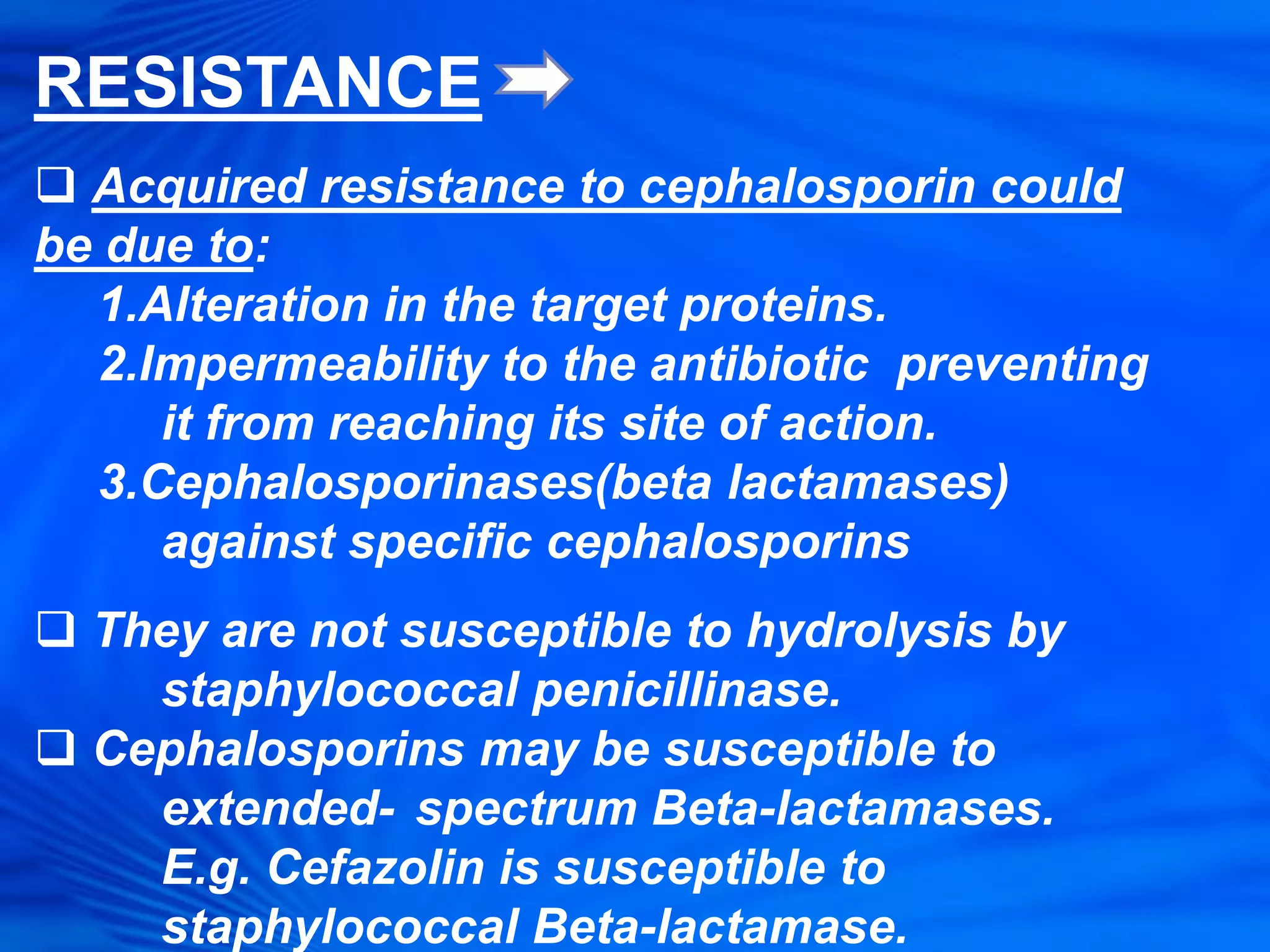 CEPHALOSPORINS | PPTX