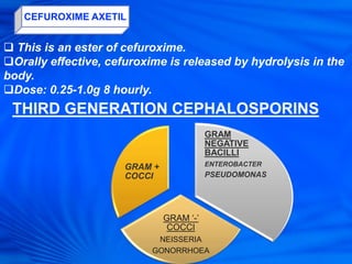 CEPHALOSPORINS | PPTX