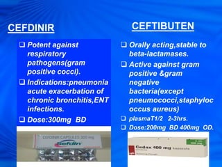 CEPHALOSPORINS | PPTX