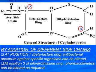 CEPHALOSPORINS | PPTX