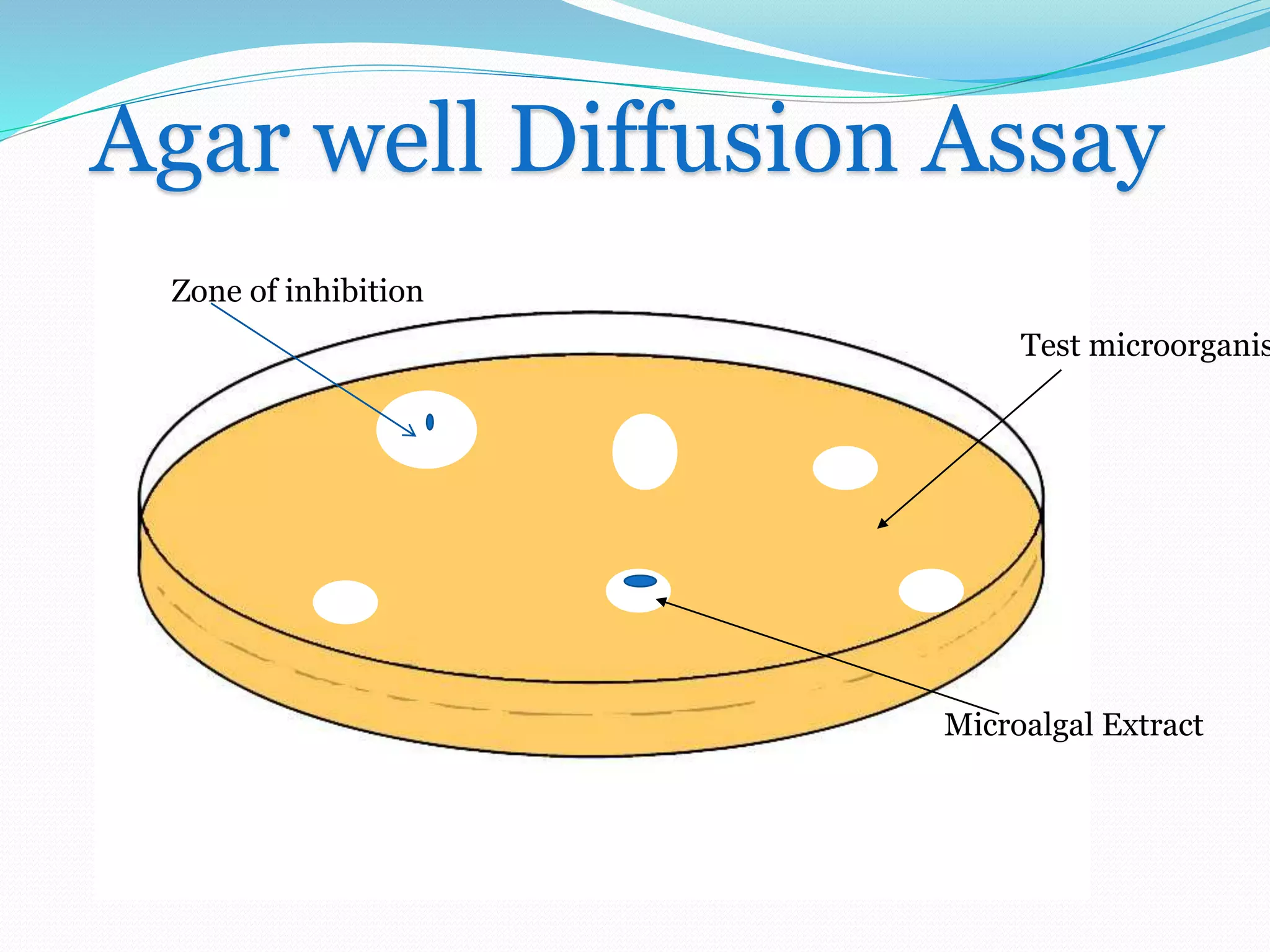 Bioprospecting of Microalgae for Bioactive secondary Metabolites | PPTX