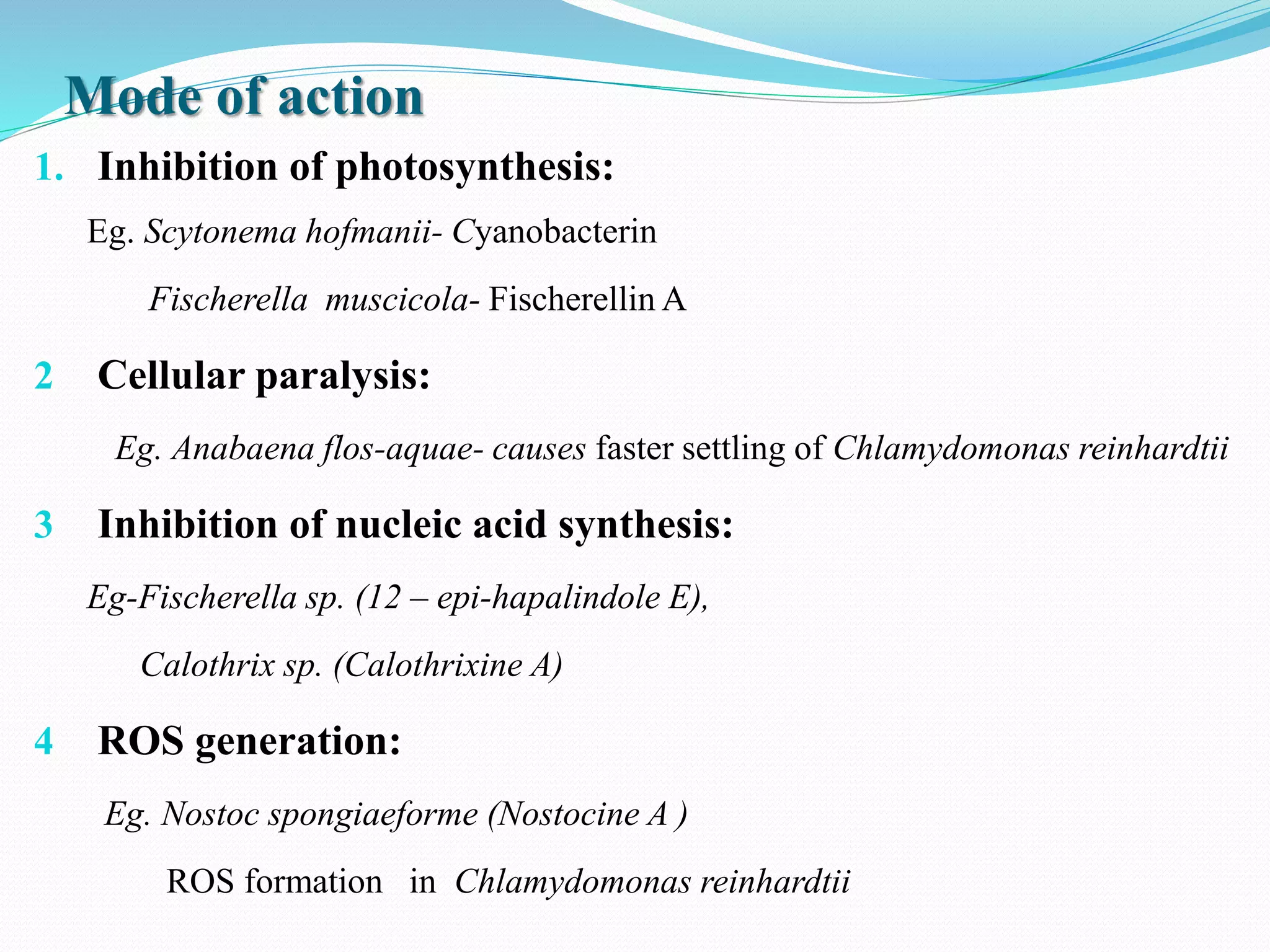 Bioprospecting of Microalgae for Bioactive secondary Metabolites | PPTX ...
