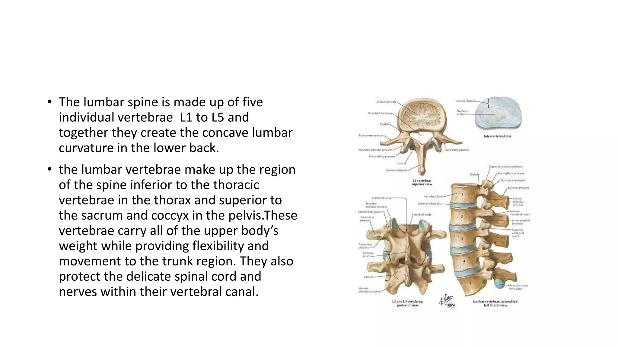 sush kiru manual therapy.pptx