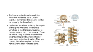 sush kiru manual therapy.pptx