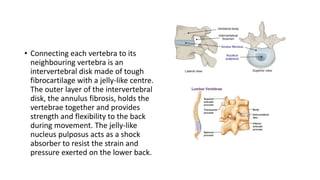 sush kiru manual therapy.pptx