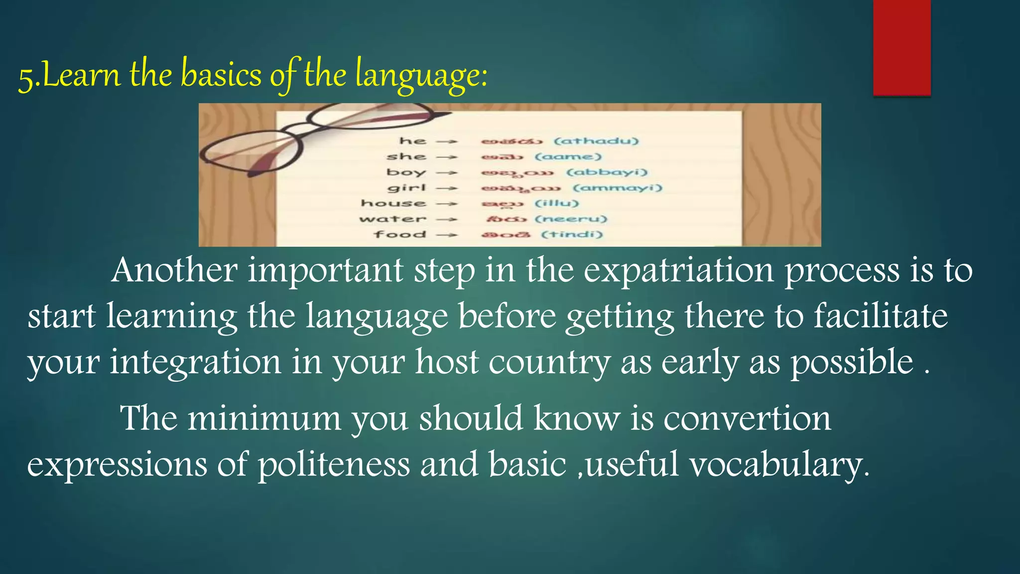 Expatriation, MCN, HCN, and TCN and Explain the process of expatriation ...