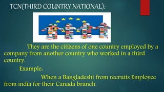 Expatriation, MCN, HCN, and TCN and Explain the process of expatriation ...