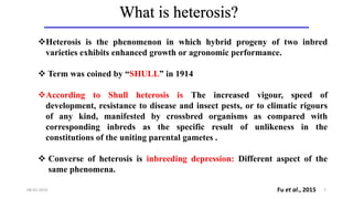 heterosis new insights into old topic by revisiting the magic of ...