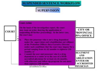 Suspended Sentence Workflow (Presentation) | PPT