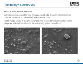 Suspend Polyzone Slideshare | PPT