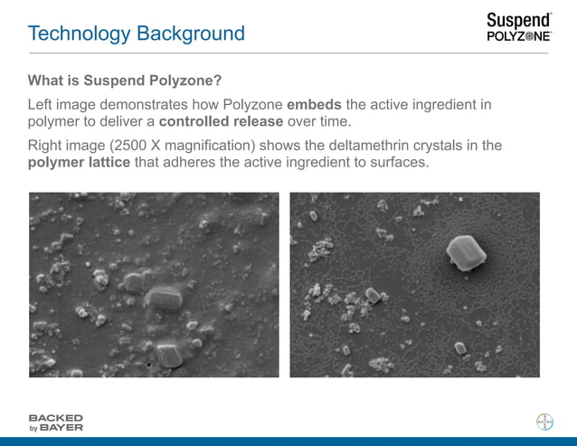 Suspend Polyzone Slideshare | PPT