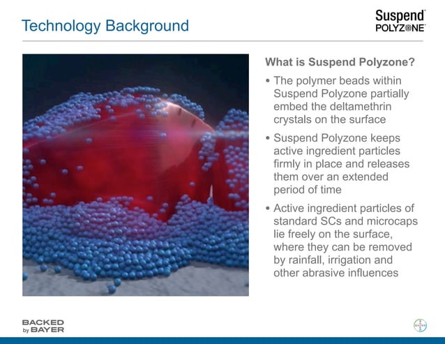 Suspend Polyzone Slideshare | PPT
