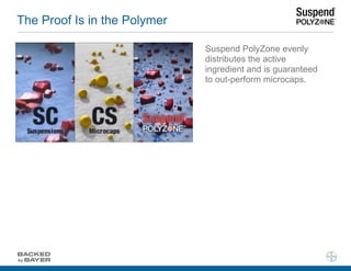 Suspend Polyzone | KEY