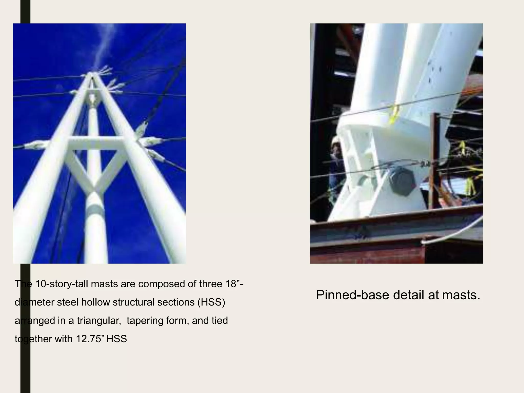 Case Study: Suspension Structures | PPTX