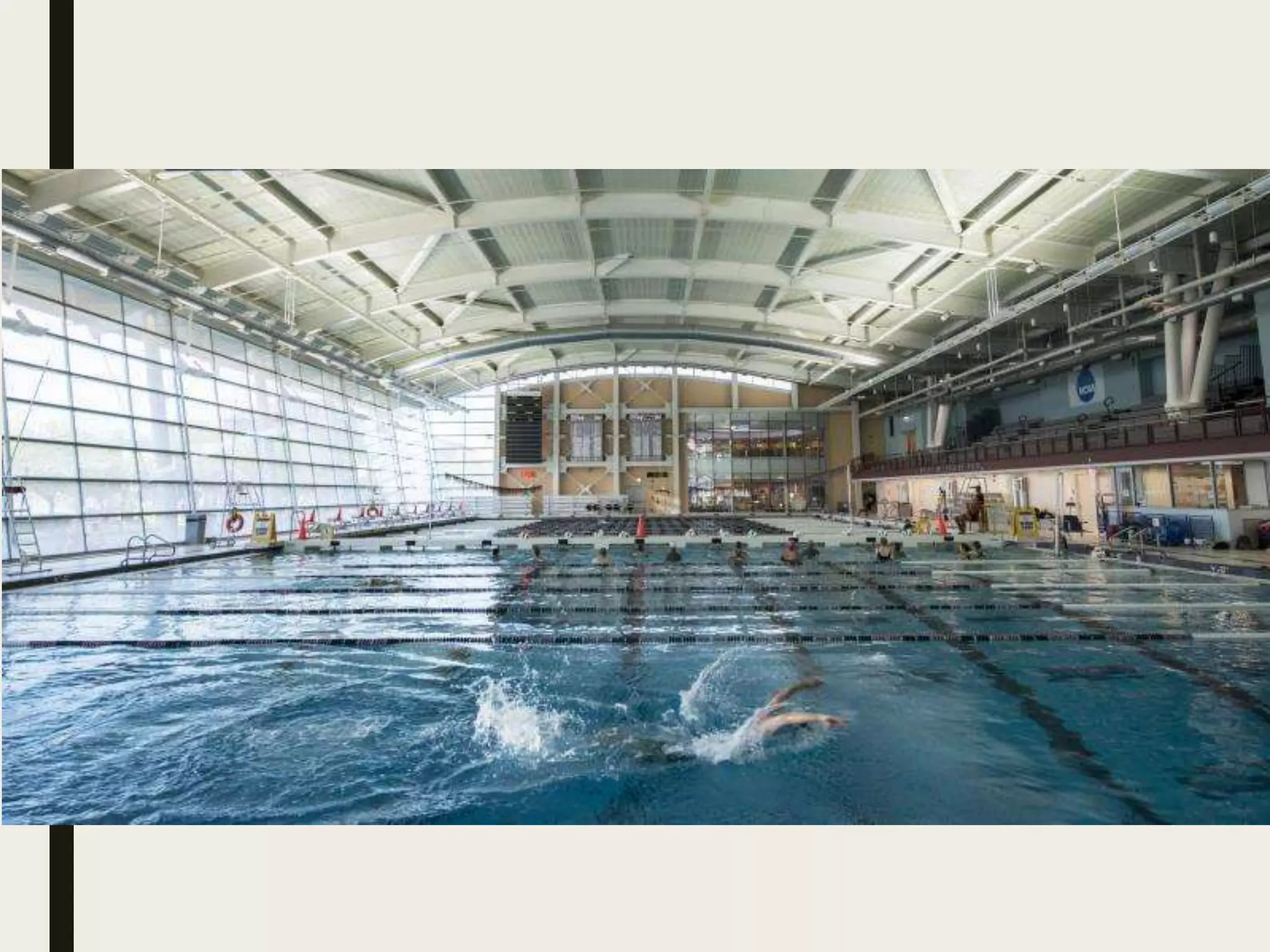 Case Study: Suspension Structures | PPTX