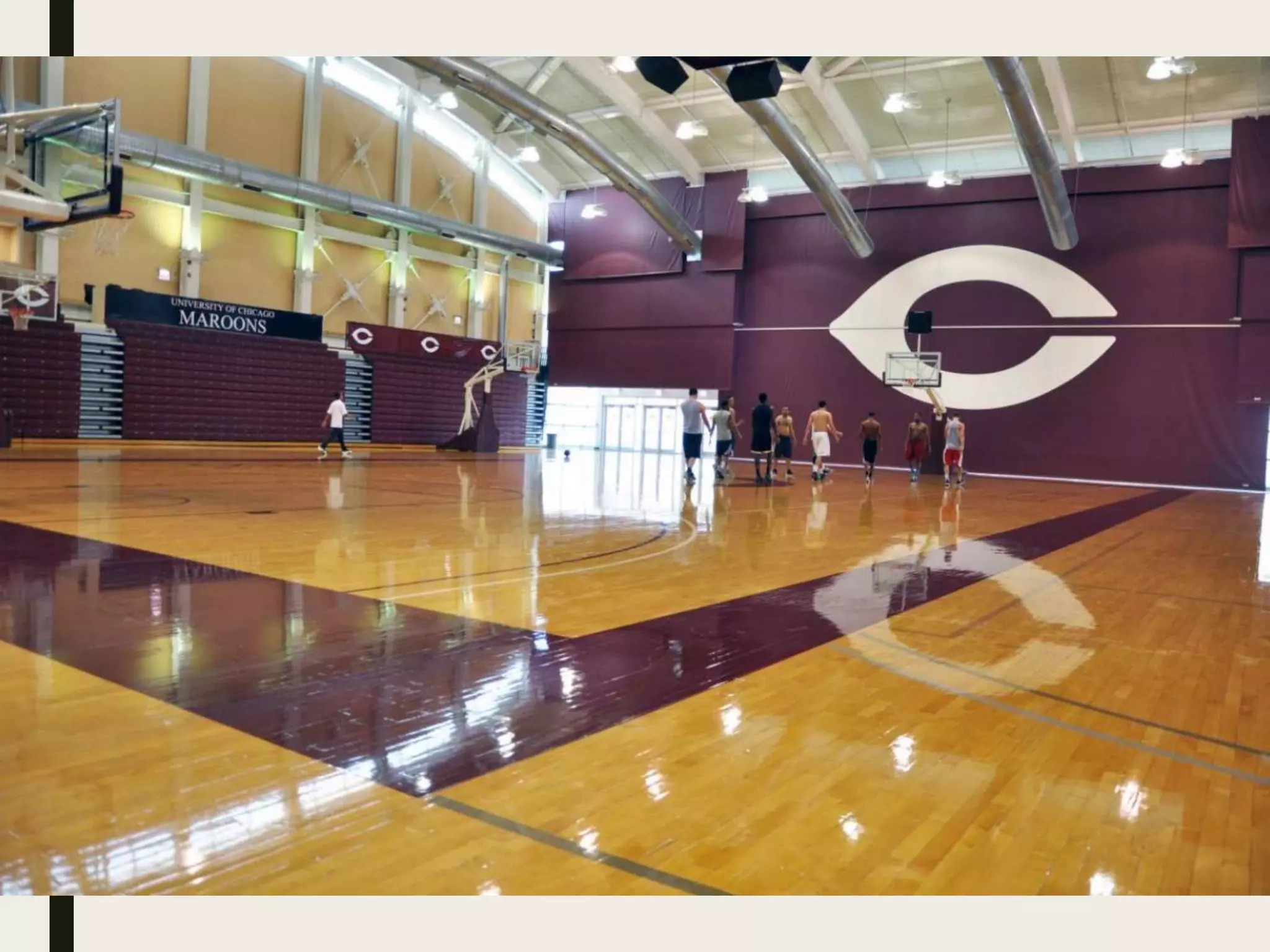 Case Study: Suspension Structures | PPTX