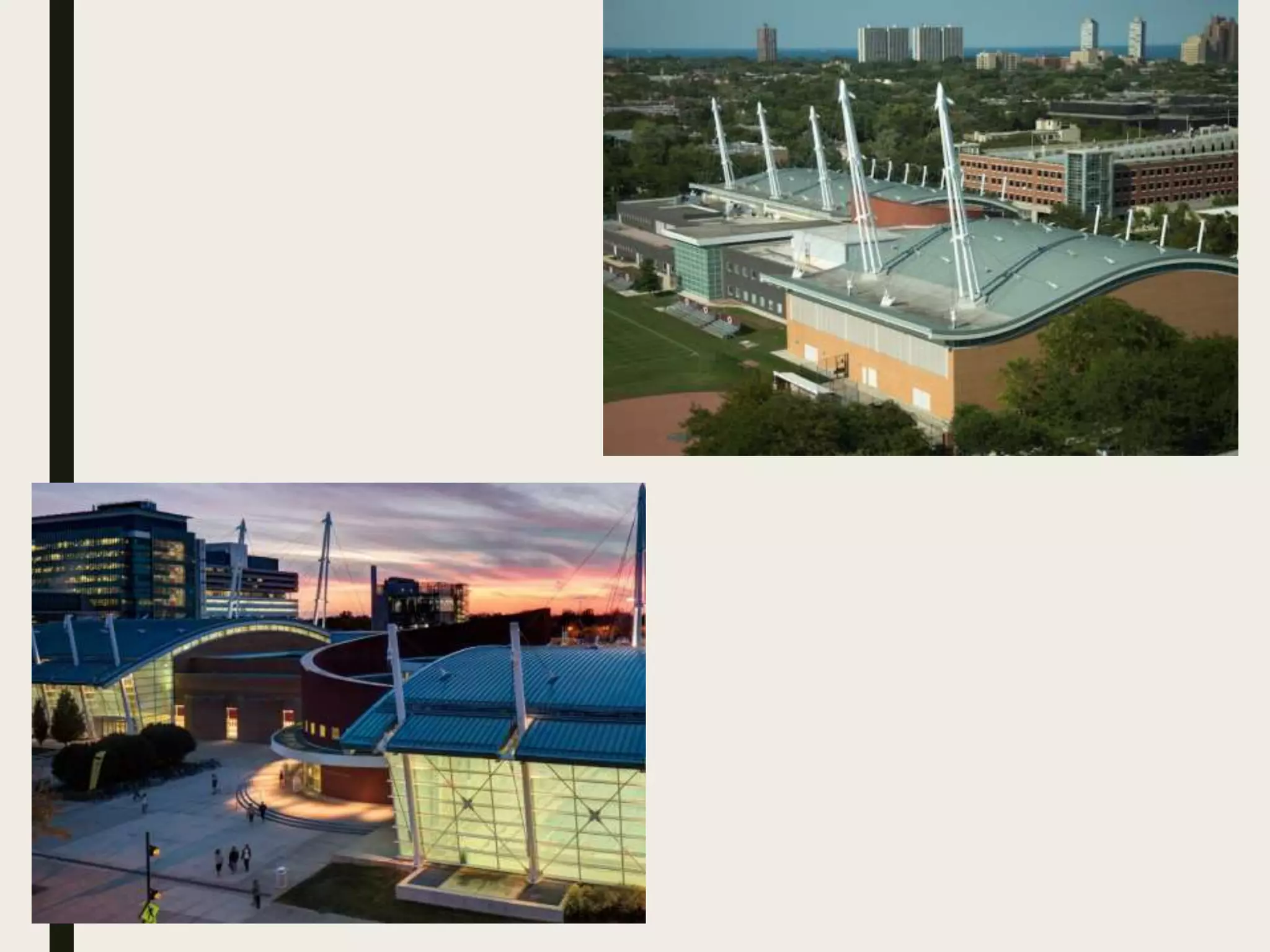 Case Study: Suspension Structures | PPTX