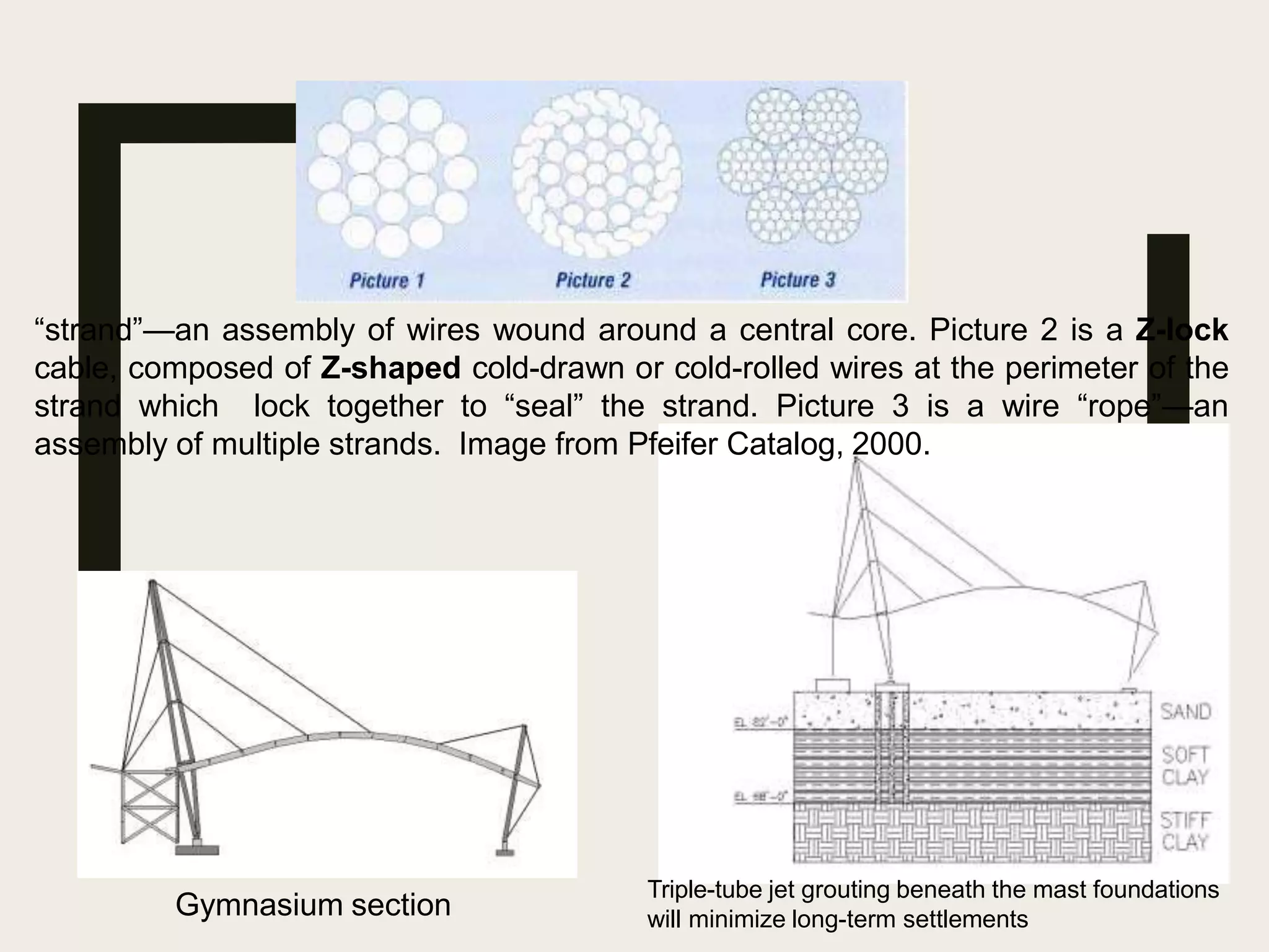 Case Study: Suspension Structures | PPTX